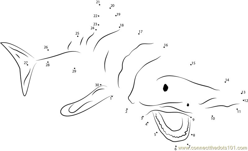 Surfer And Shark Dot To Dot Coloring Pages For Kids, Connect The Dots